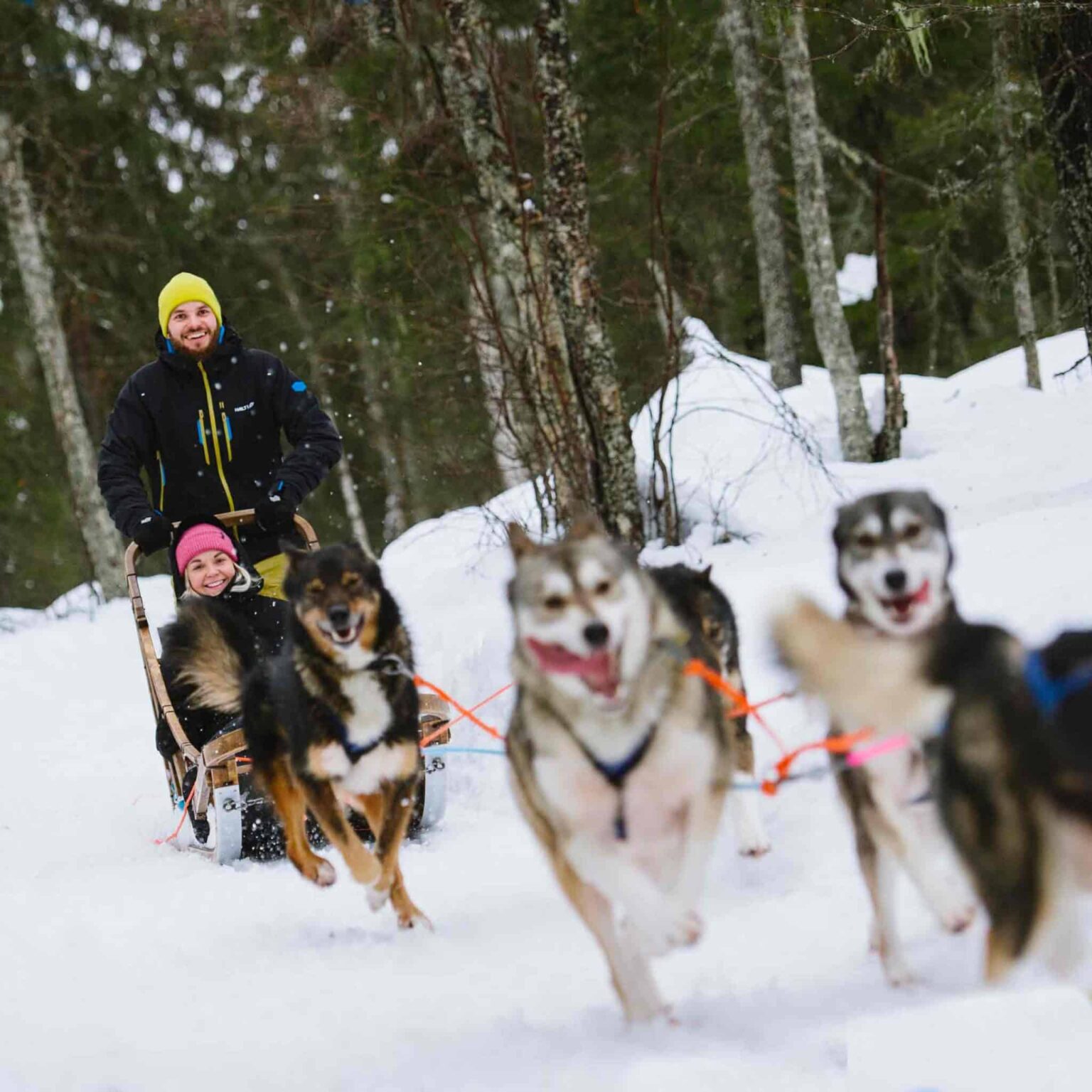 Snowmobile safari to reindeer farm in Lapland with Scandi Travel