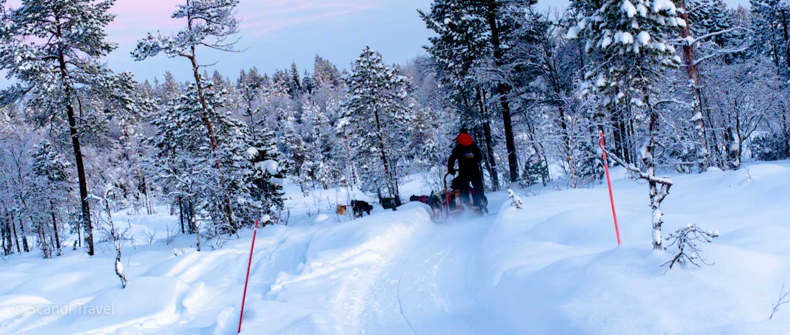 Northern Lights Tour: Explore the Magic of Lapland