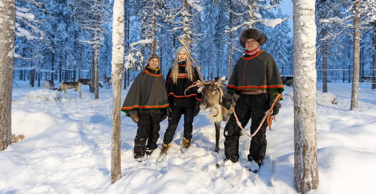 Lapland Multi-Day Tours | Arctic Adventures & Northern Lights