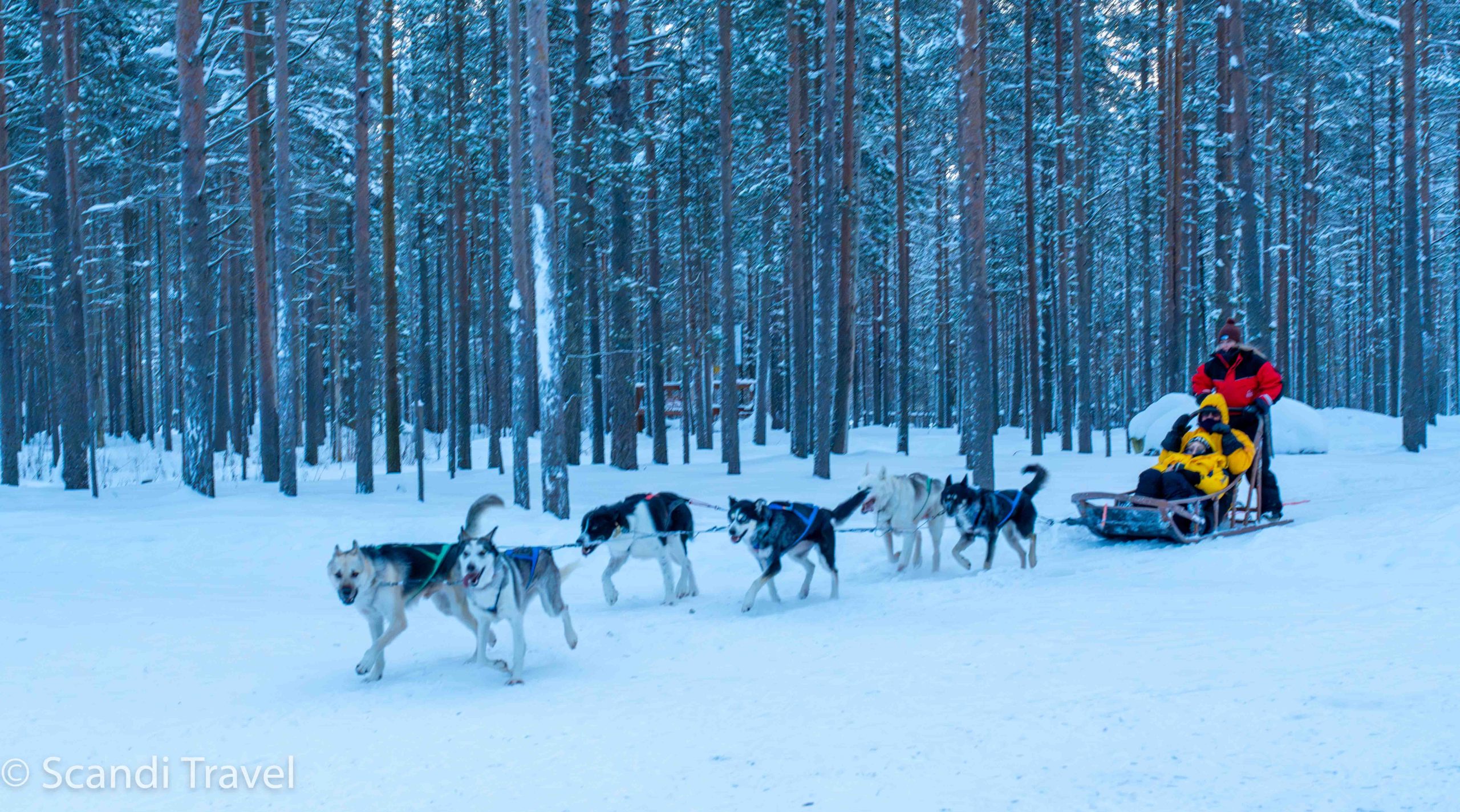 Ultimate Guide to Winter Activities in Norway | Scandi.Travel